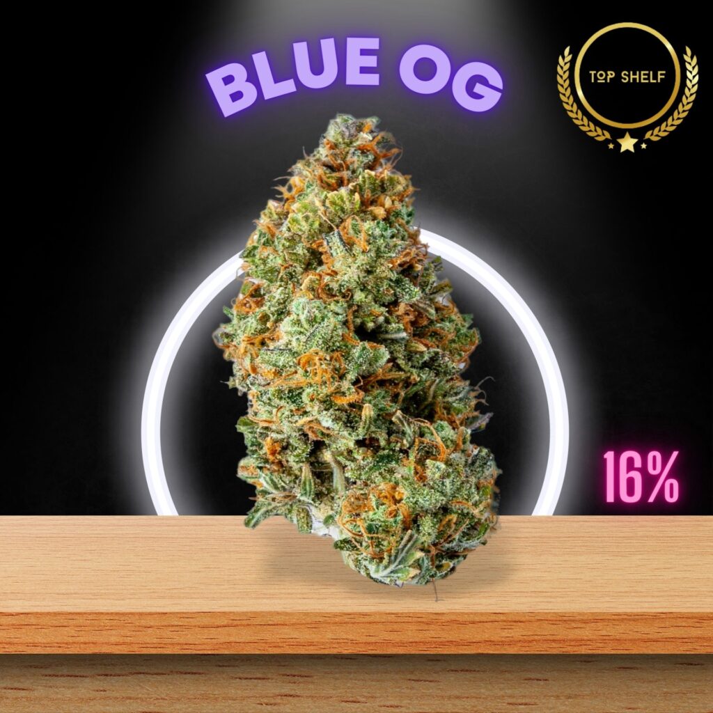 Blue OG | Medical Cannabis Delivery Thailand